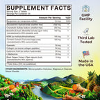 glucosamine chondroitin msm for mobility