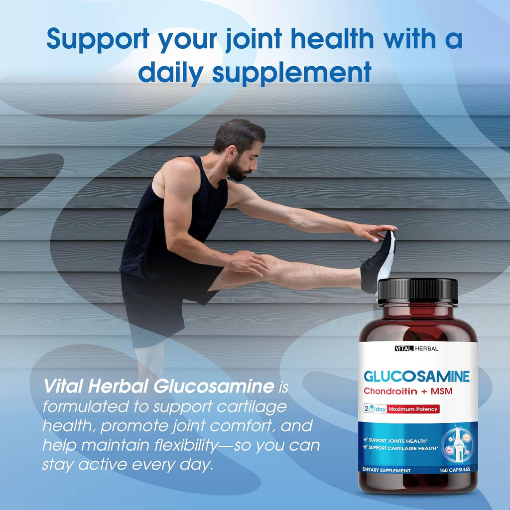 glucosamine chondroitin msm for mobility