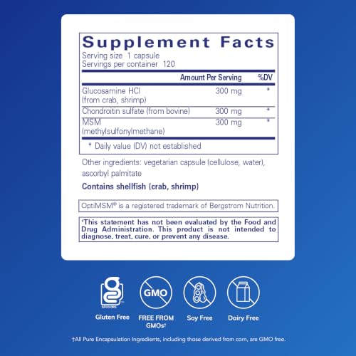 glucosamine chondroitin msm for mobility