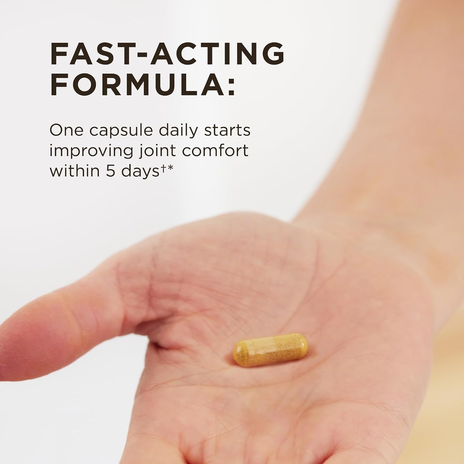 glucosamine chondroitin MSM formula