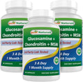 glucosamine chondroitin msm joint support