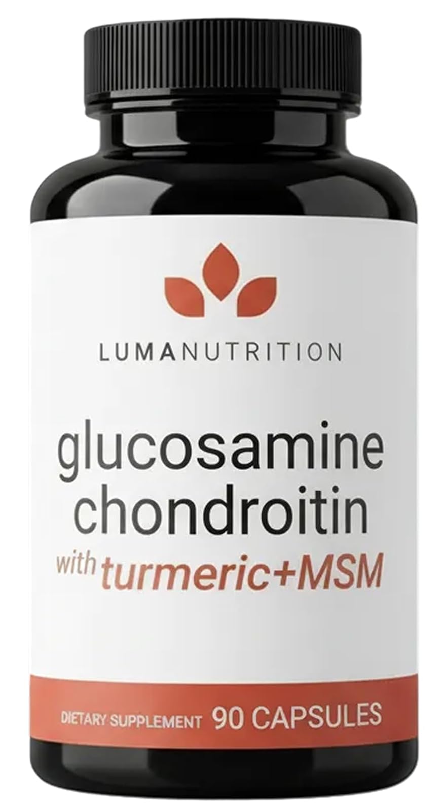 glucosamine chondroitin msm joint support