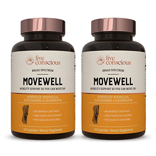 glucosamine chondroitin msm joint support
