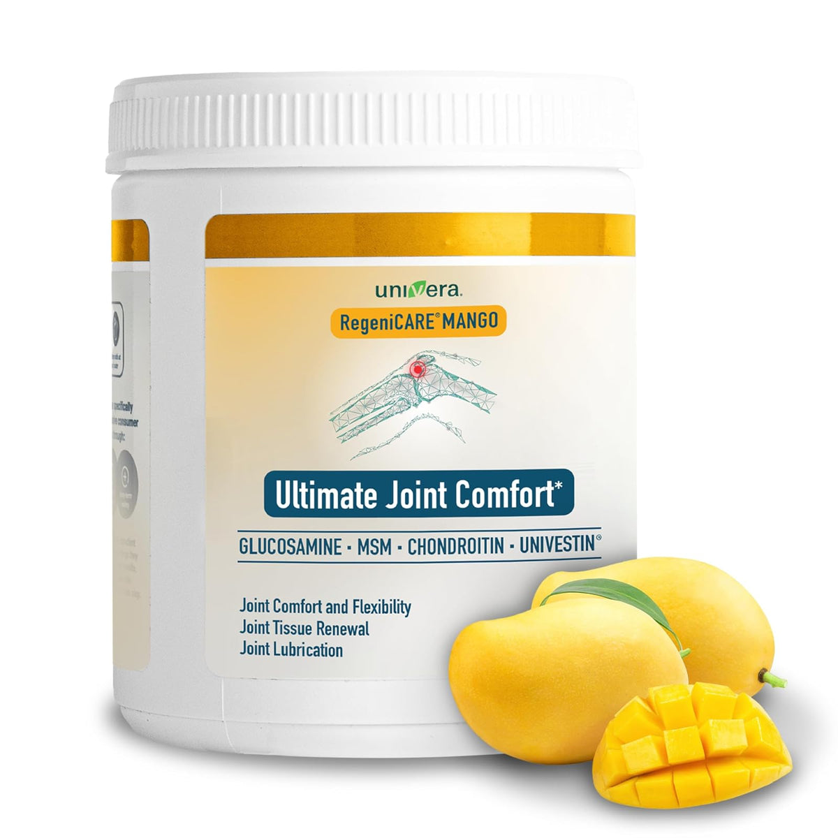 glucosamine chondroitin msm joint support