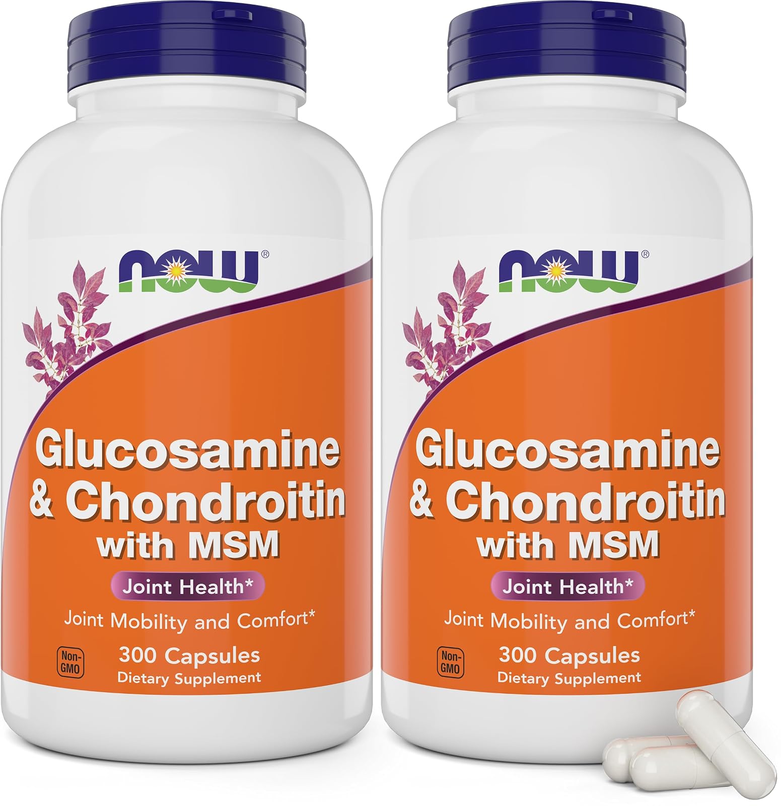 glucosamine chondroitin msm joint support