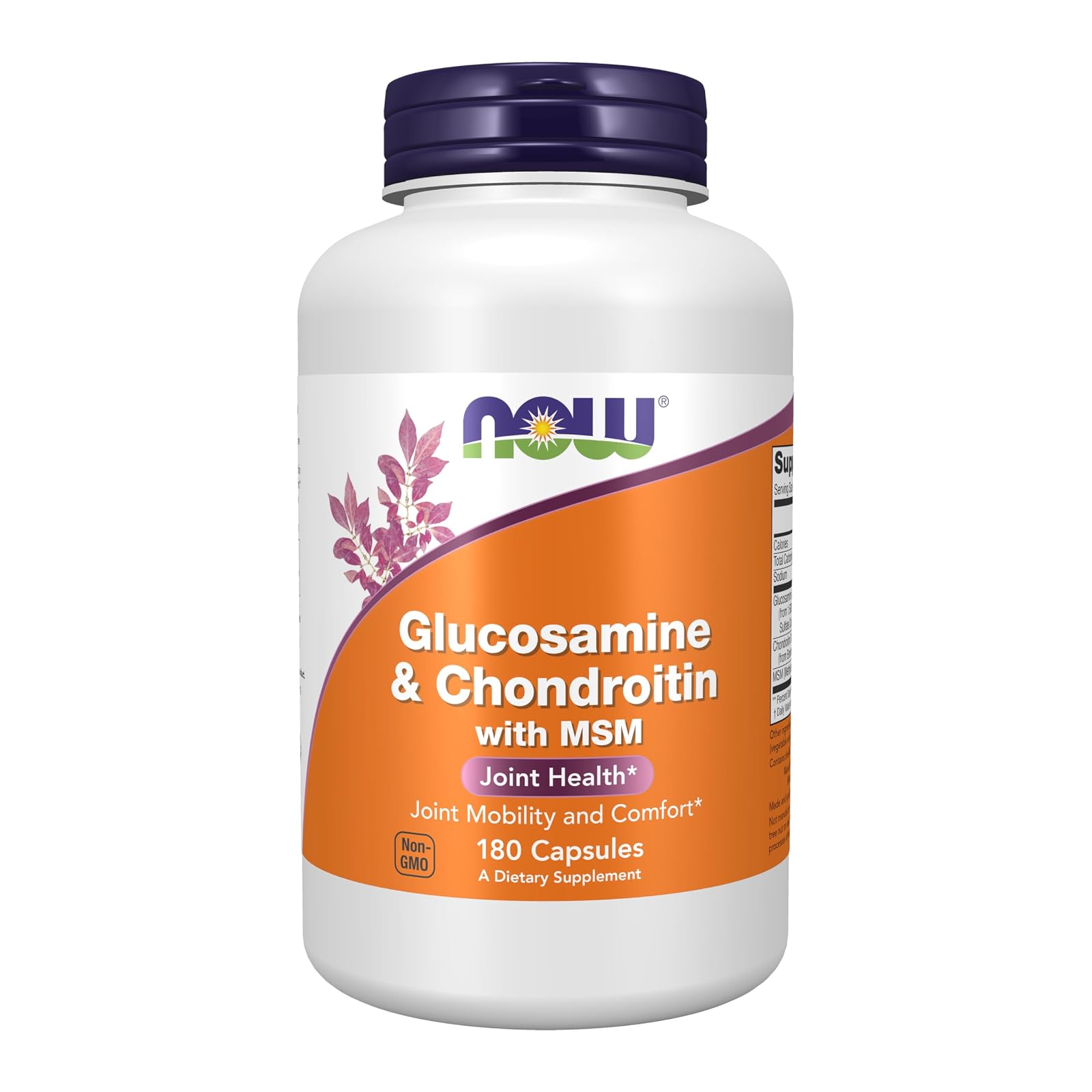 glucosamine chondroitin msm joint support