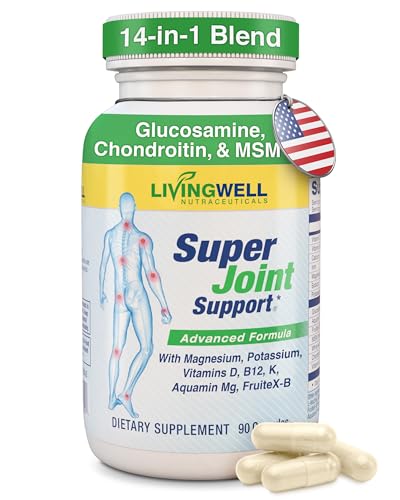 glucosamine chondroitin msm joint support