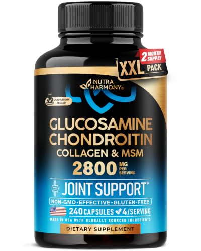 glucosamine chondroitin msm joint support