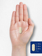 glucosamine chondroitin MSM supplement for recovery