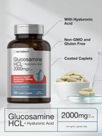 glucosamine chondroitin MSM supplement
