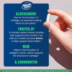 glucosamine chondroitin supplement benefits