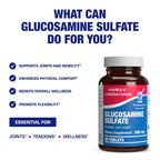 Glucosamine for active lifestyle recovery