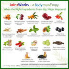 Glucosamine for joint support
