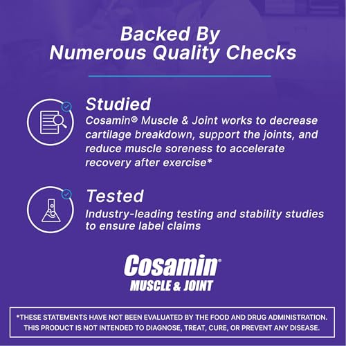 glucosamine supplement for daily wellness