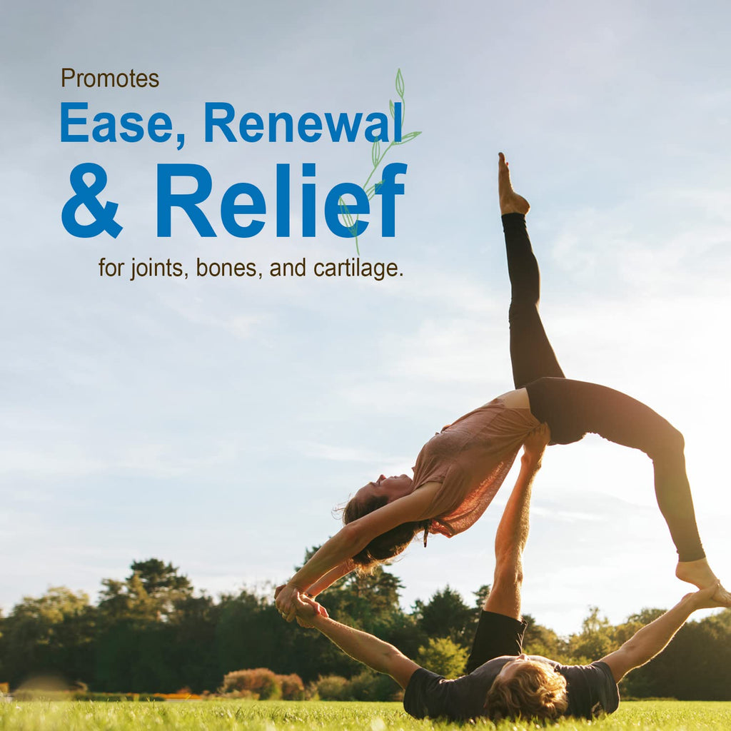 glucosamine supplement for healthy joints