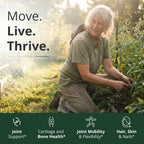 glucosamine tablets for mobility