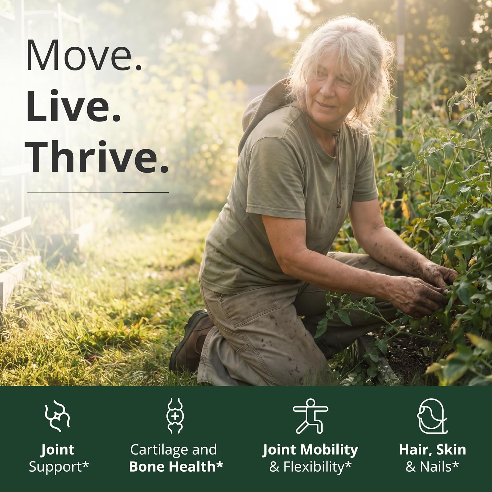 glucosamine tablets for mobility