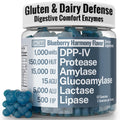 gluten and lactase digestive enzymes
