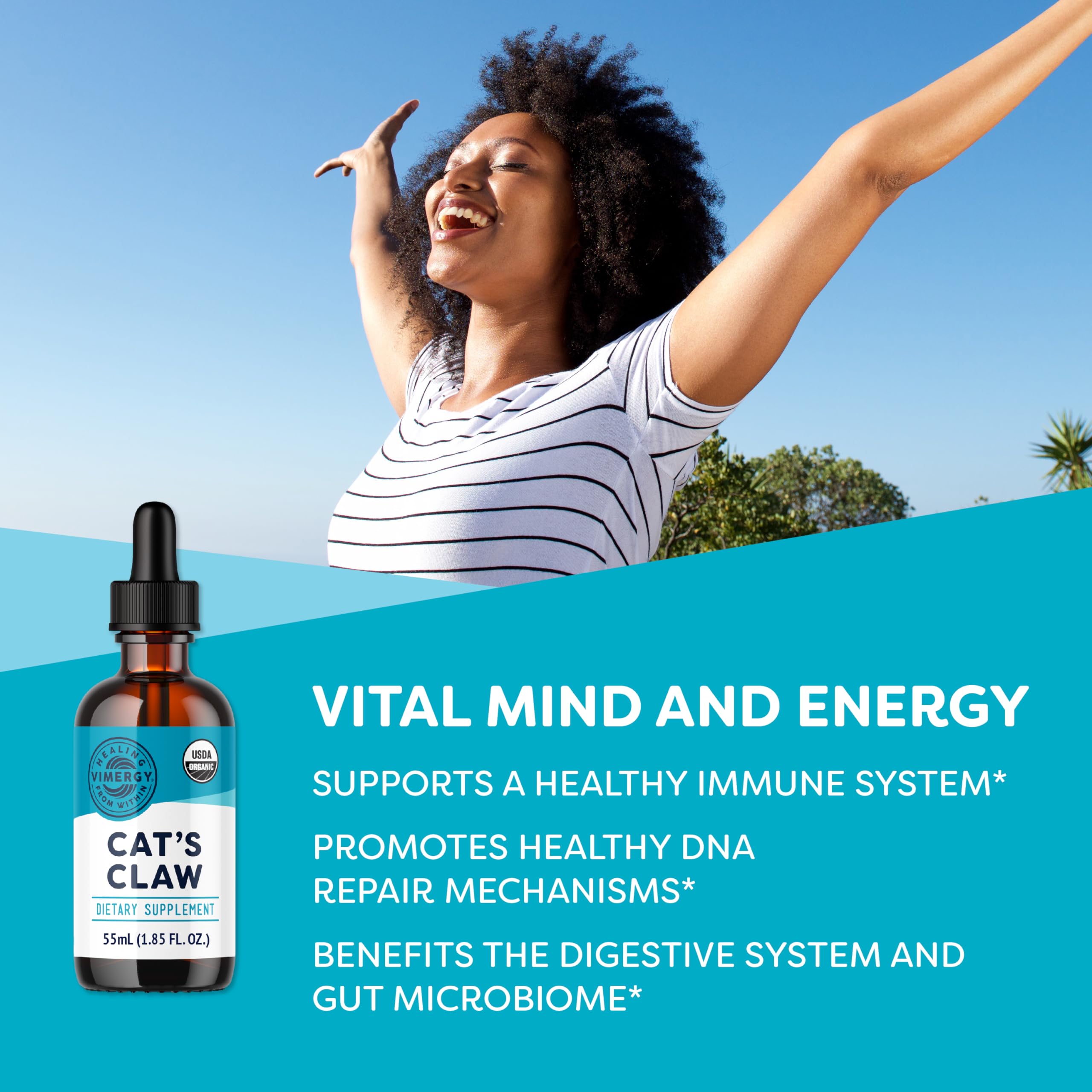 Gluten-free antioxidant herbal remedy