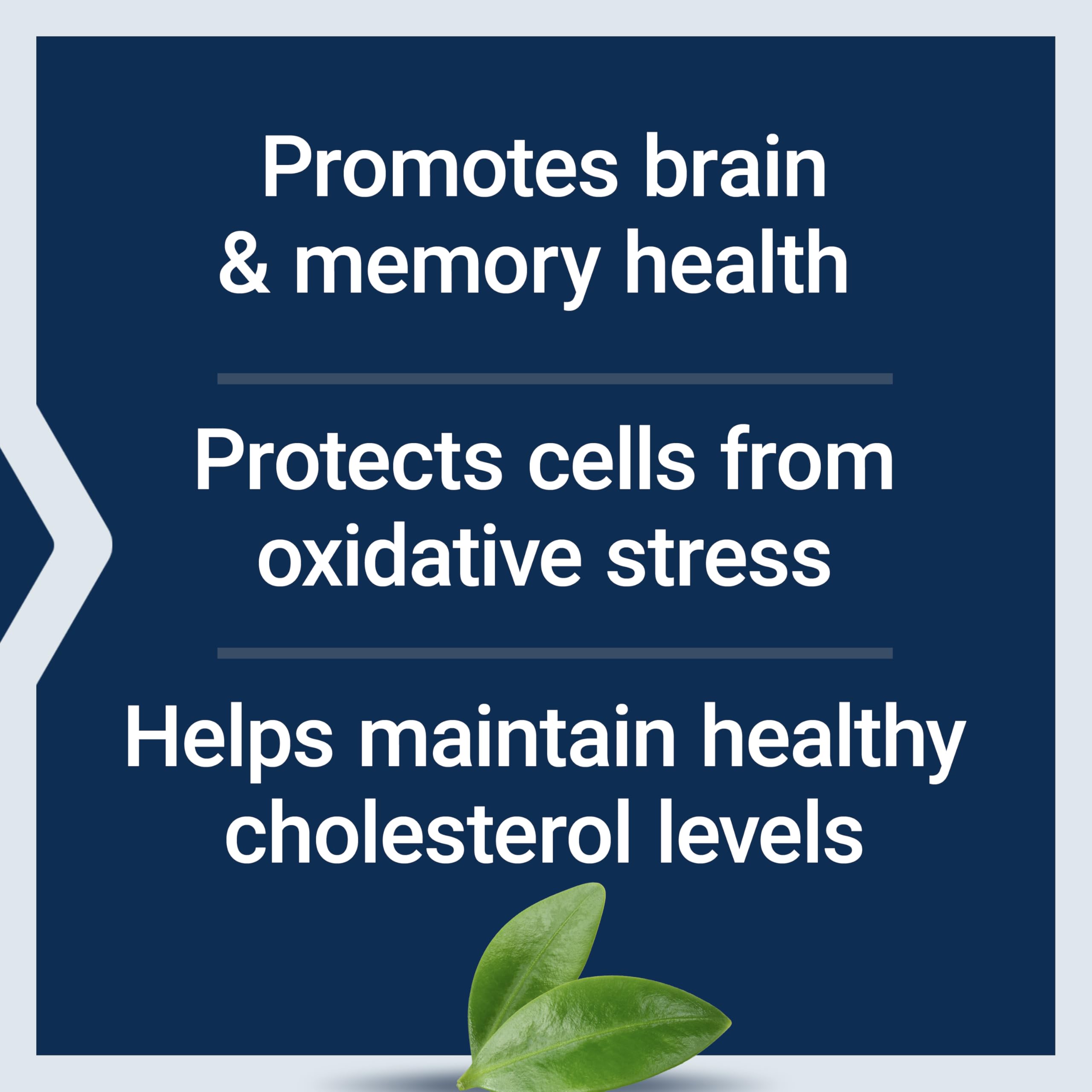 gluten-free blueberry extract for wellness