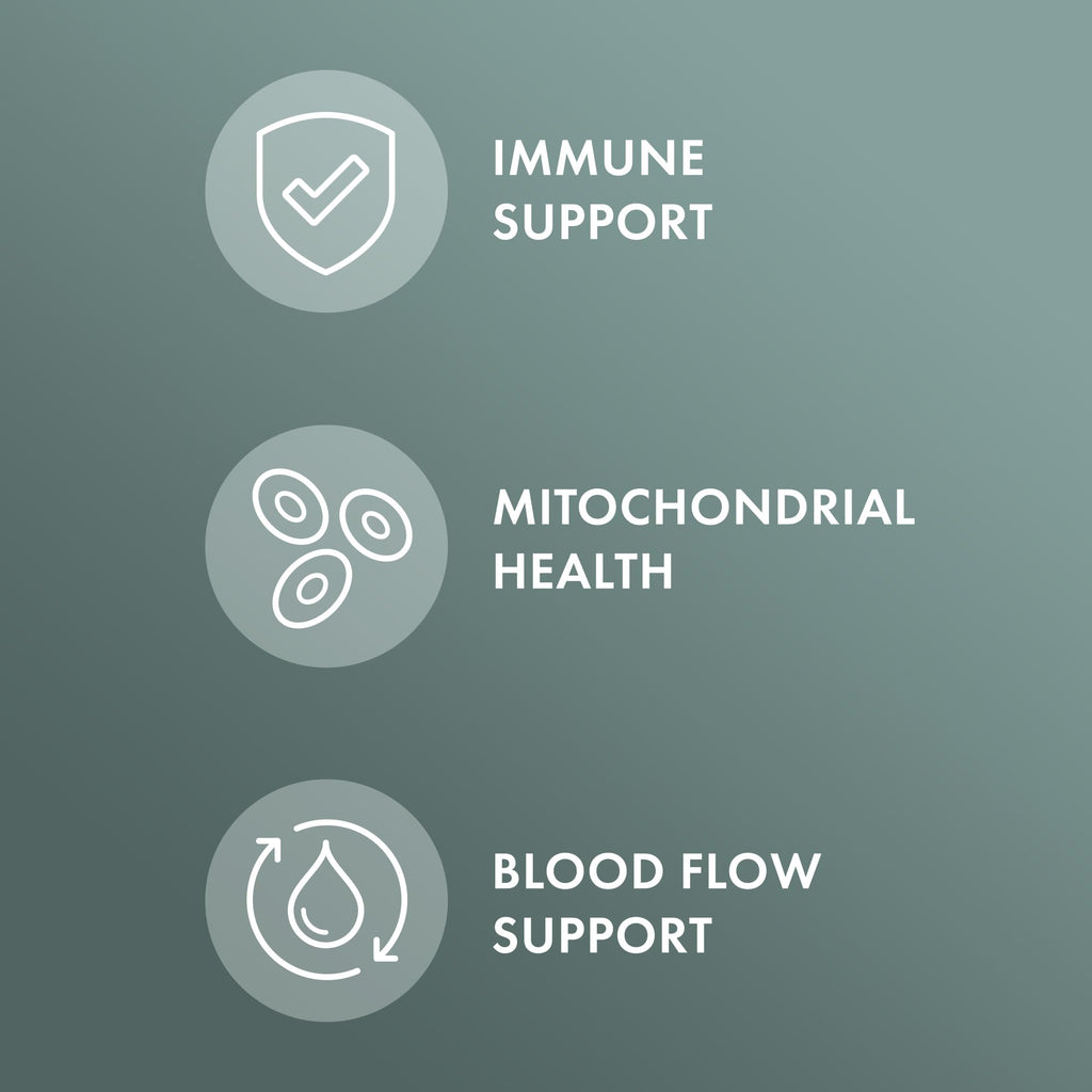 gluten-free chaga extract capsules