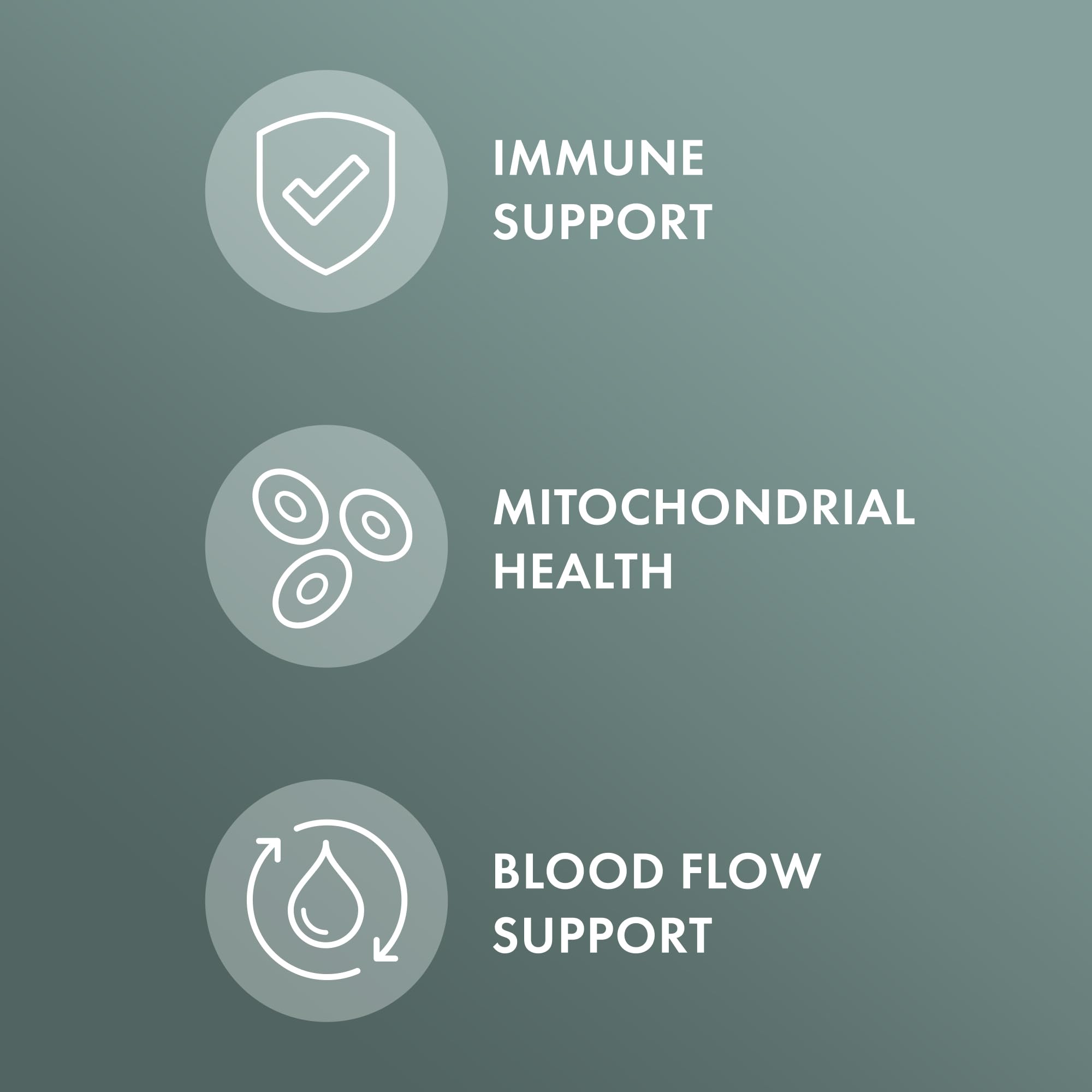 gluten-free chaga extract capsules