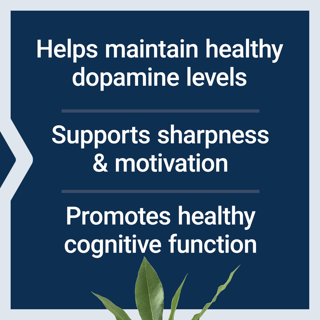 gluten-free cognitive health supplement