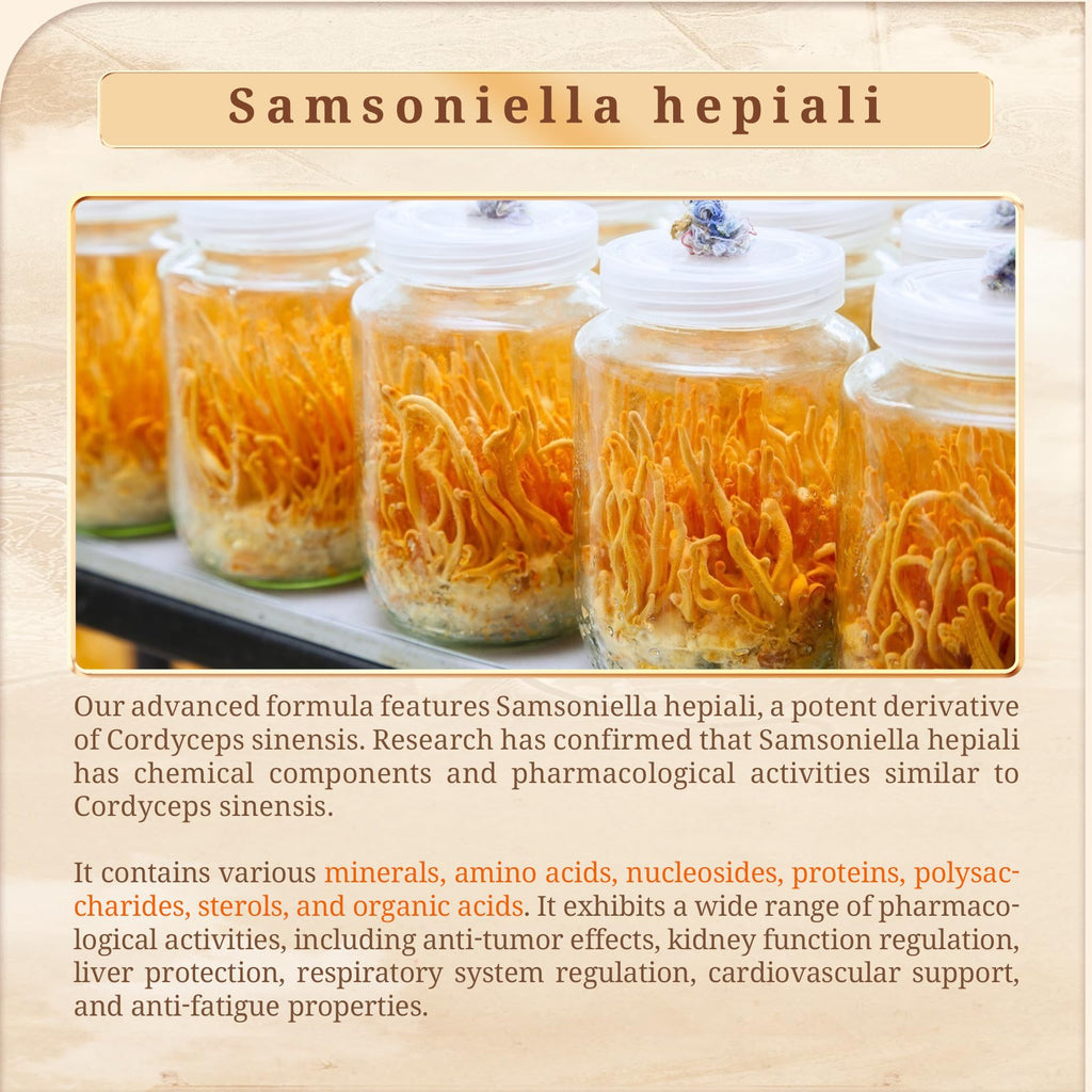 gluten-free cordyceps capsules for energy