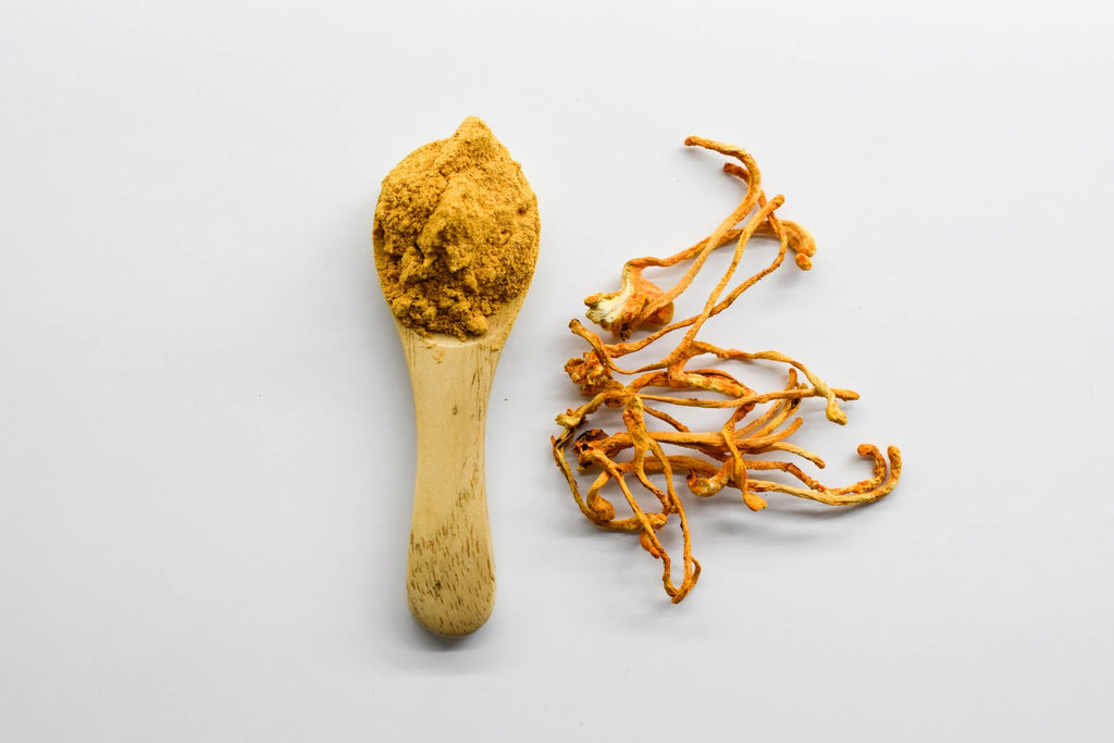 gluten-free cordyceps mushrooms supplement