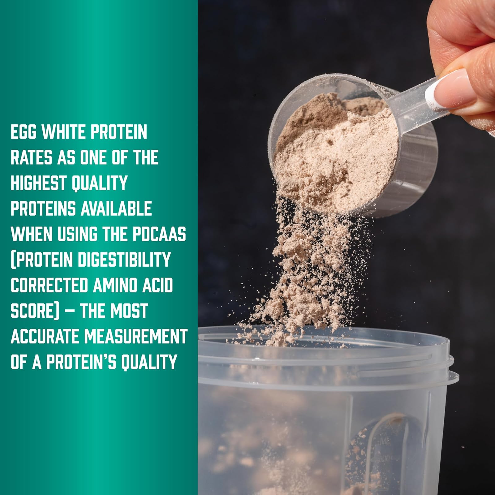 gluten-free egg white protein powder