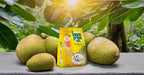 gluten-free green jackfruit flour for baking