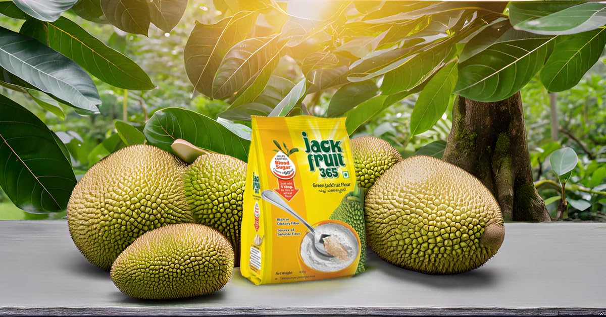 gluten-free green jackfruit flour for baking