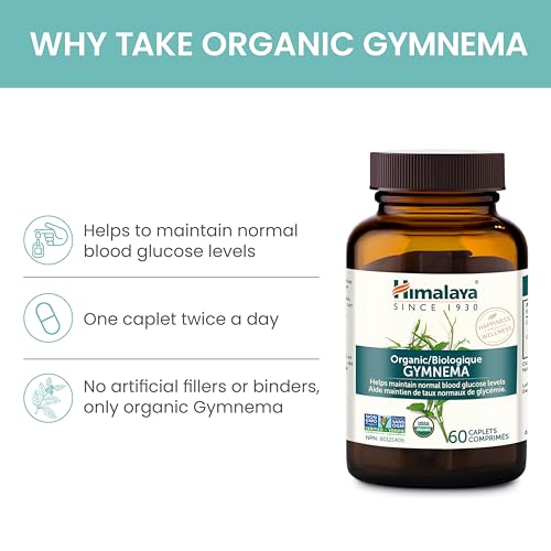 gluten-free gymnema sylvestre extract
