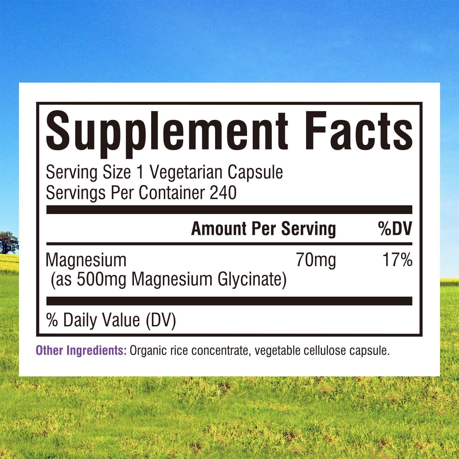gluten-free magnesium for daily wellness
