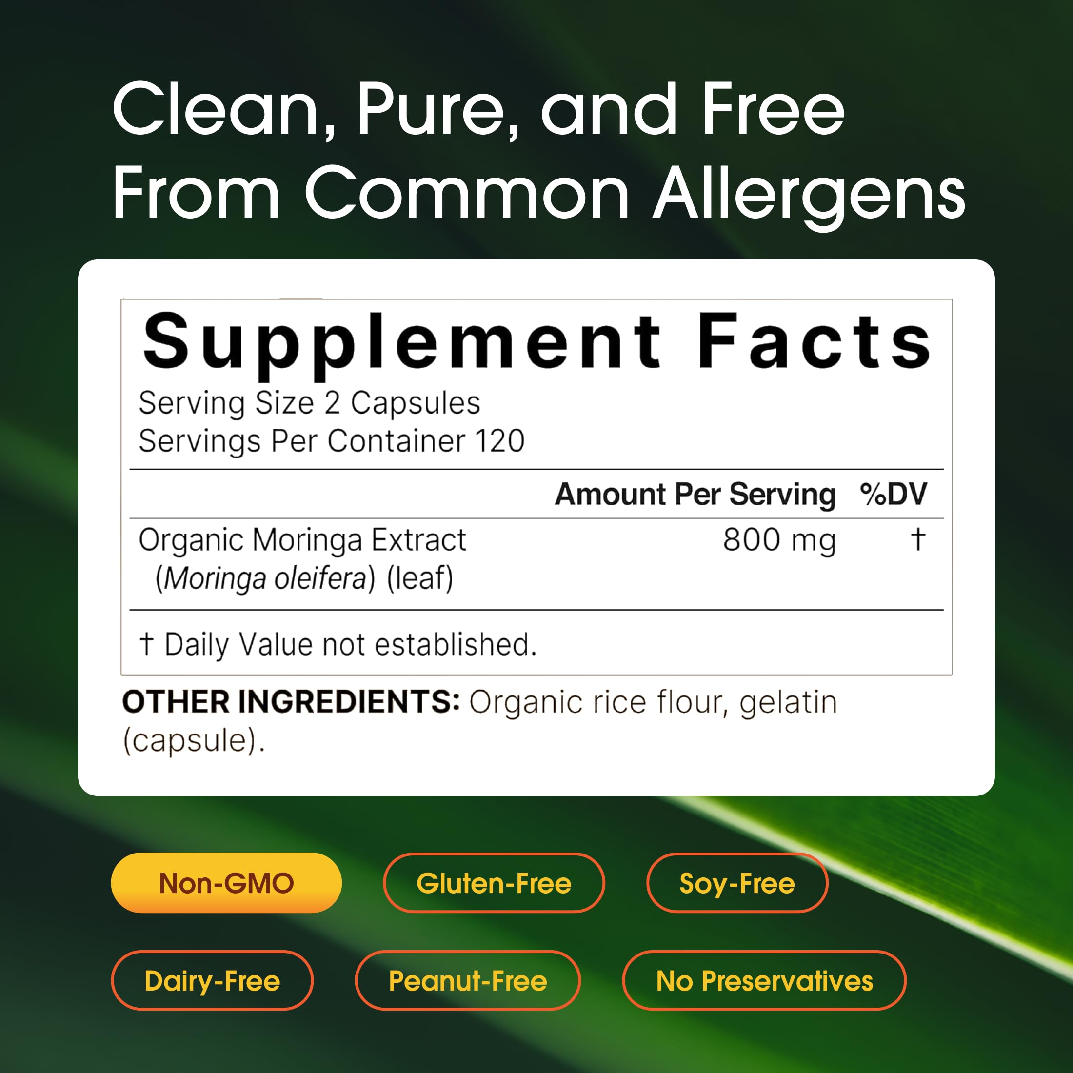 gluten-free moringa for wellness