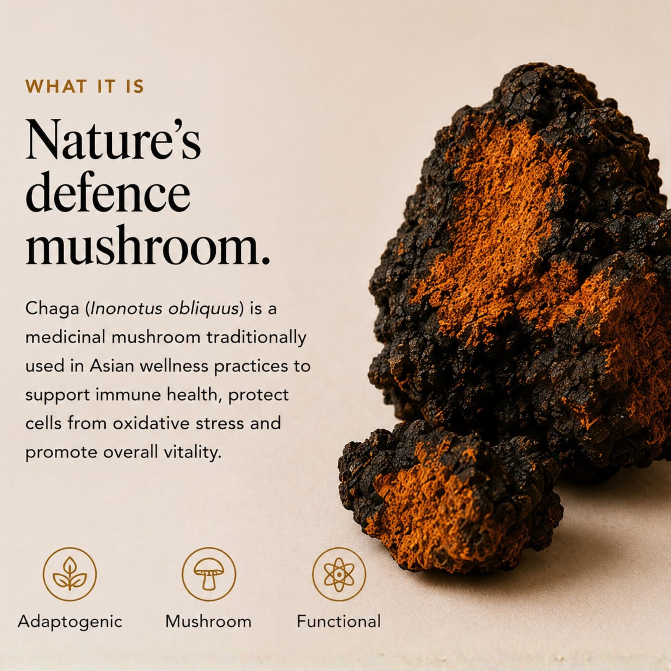 Gluten-free mushroom extract benefits