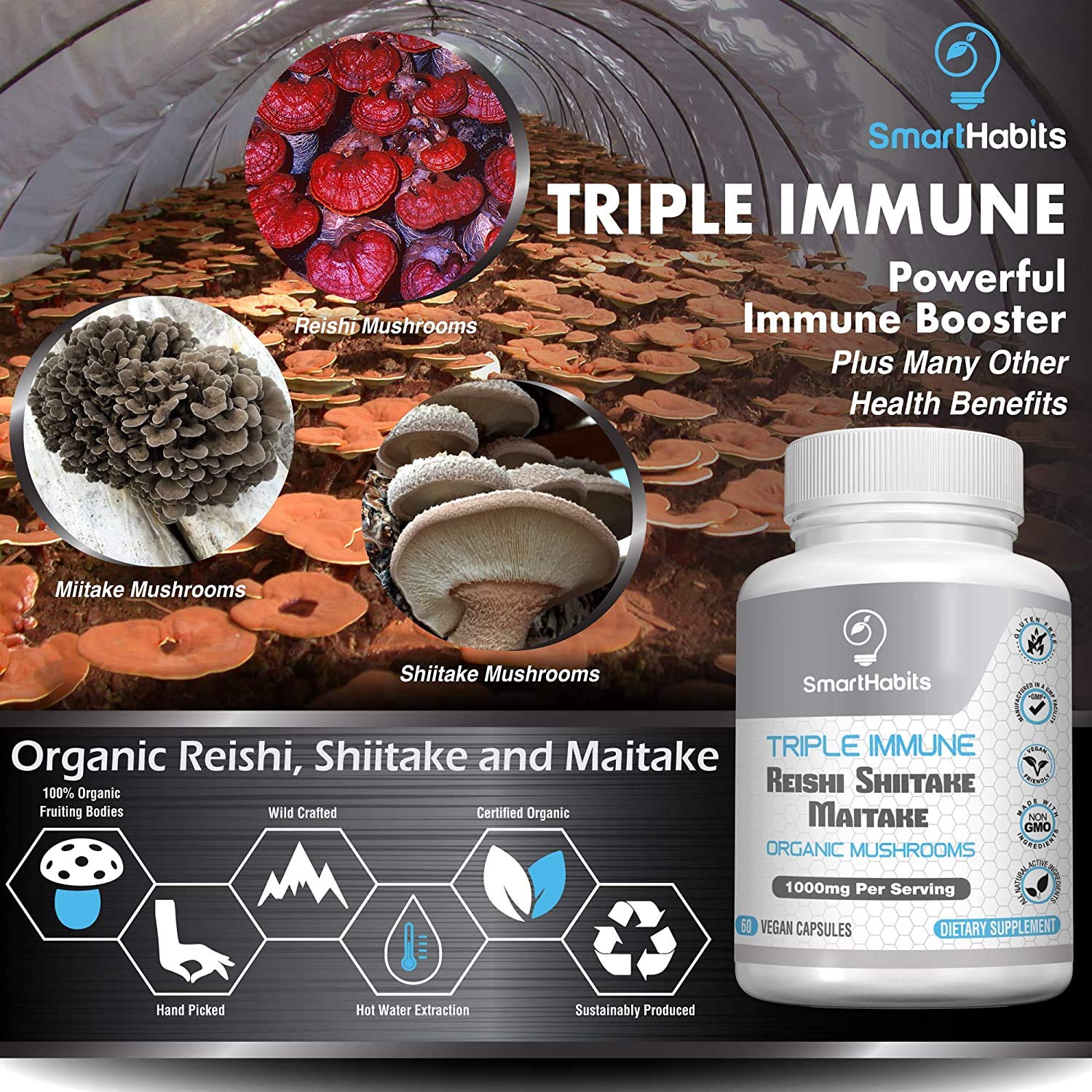 gluten-free mushroom supplement capsules