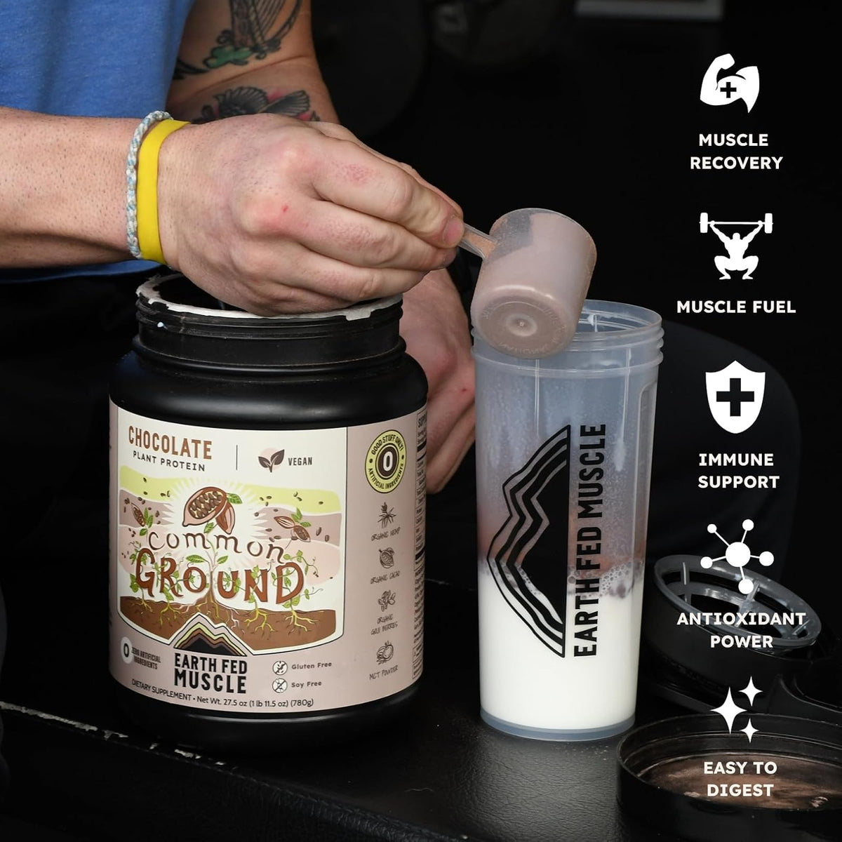 gluten-free organic protein supplement