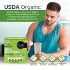 gluten free plant protein option