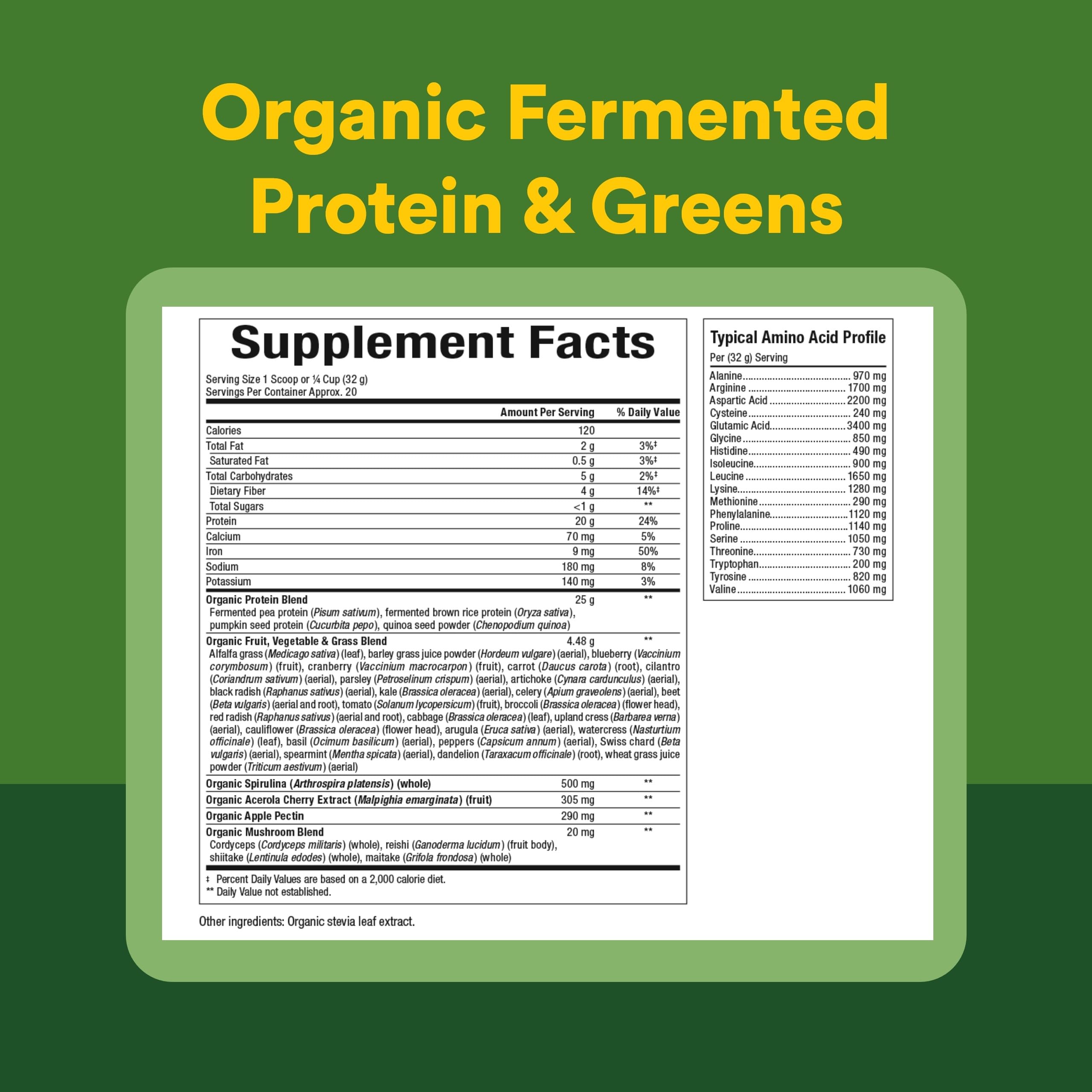 gluten-free protein drinks for diets