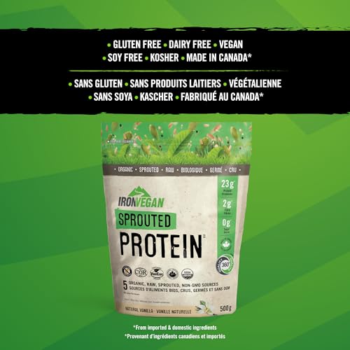 gluten-free protein powder option