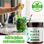 gluten free protein powder option