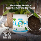 gluten-free protein powder option