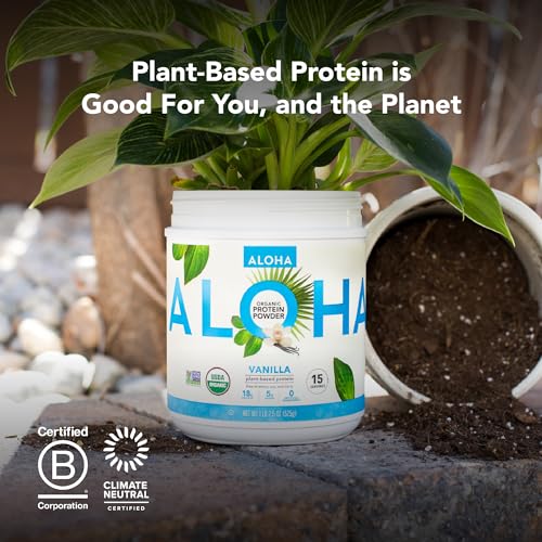 gluten-free protein powder option