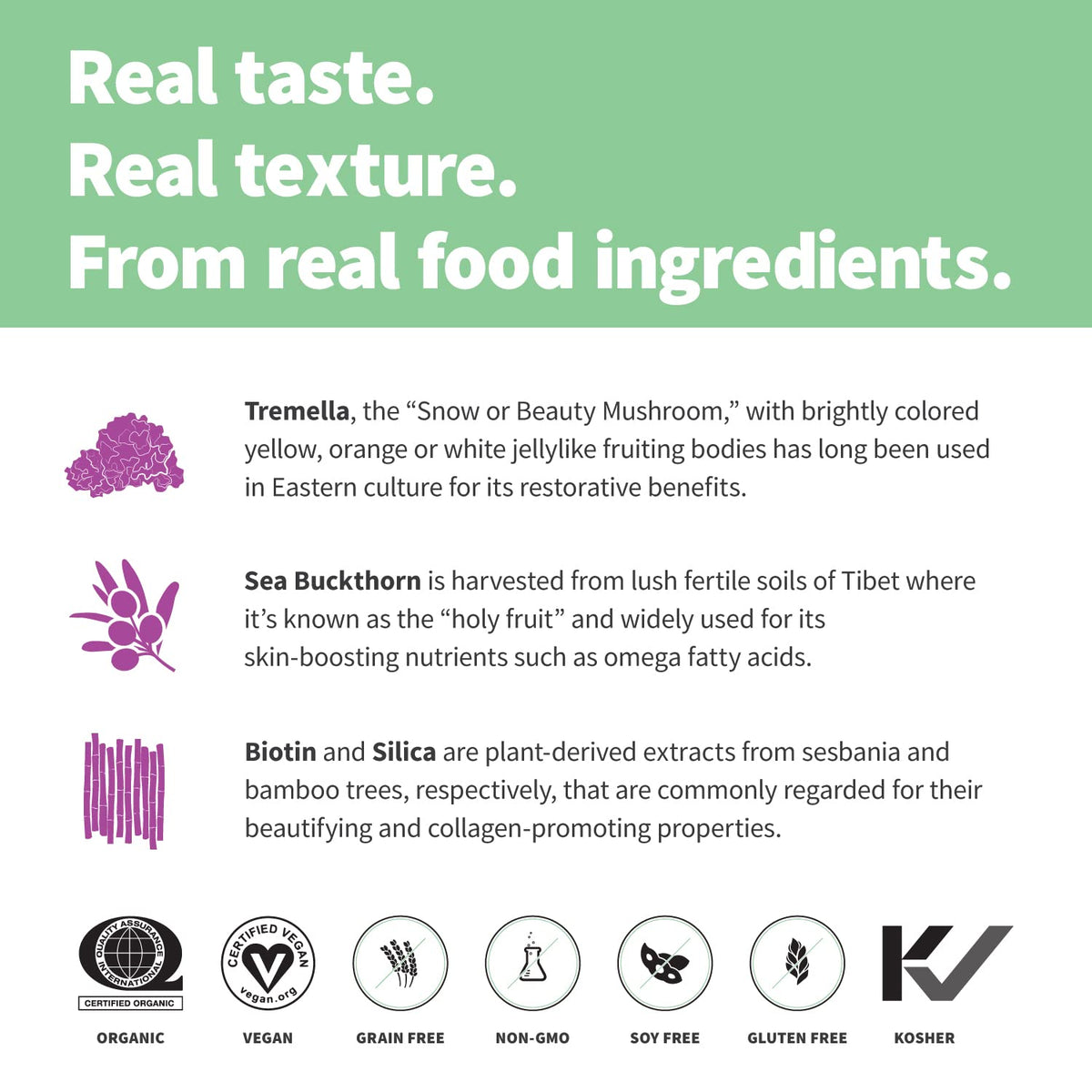 gluten-free protein powder option
