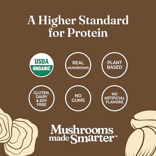 gluten-free protein powder option