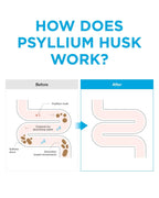 gluten-free psyllium husk powder