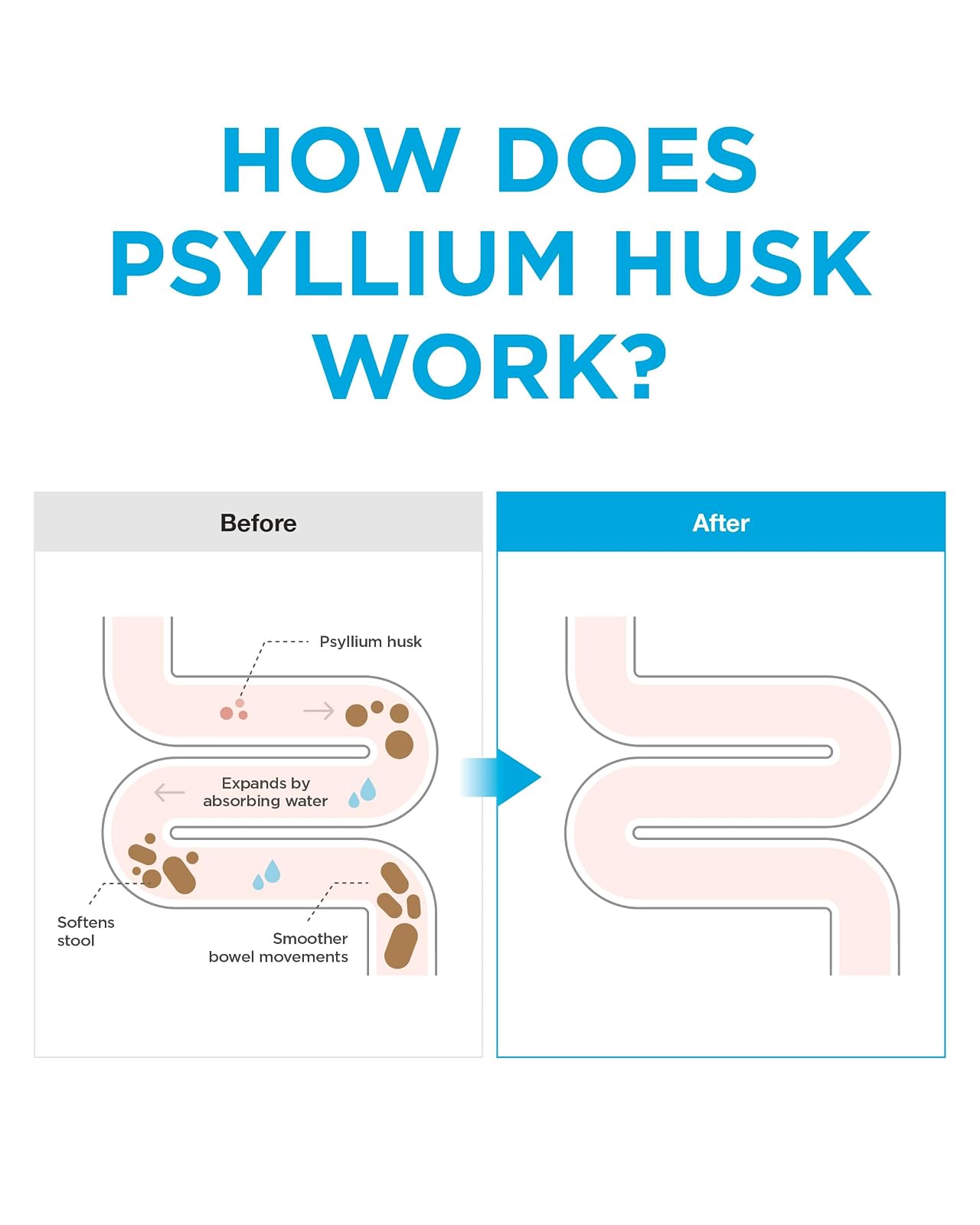 gluten-free psyllium husk powder