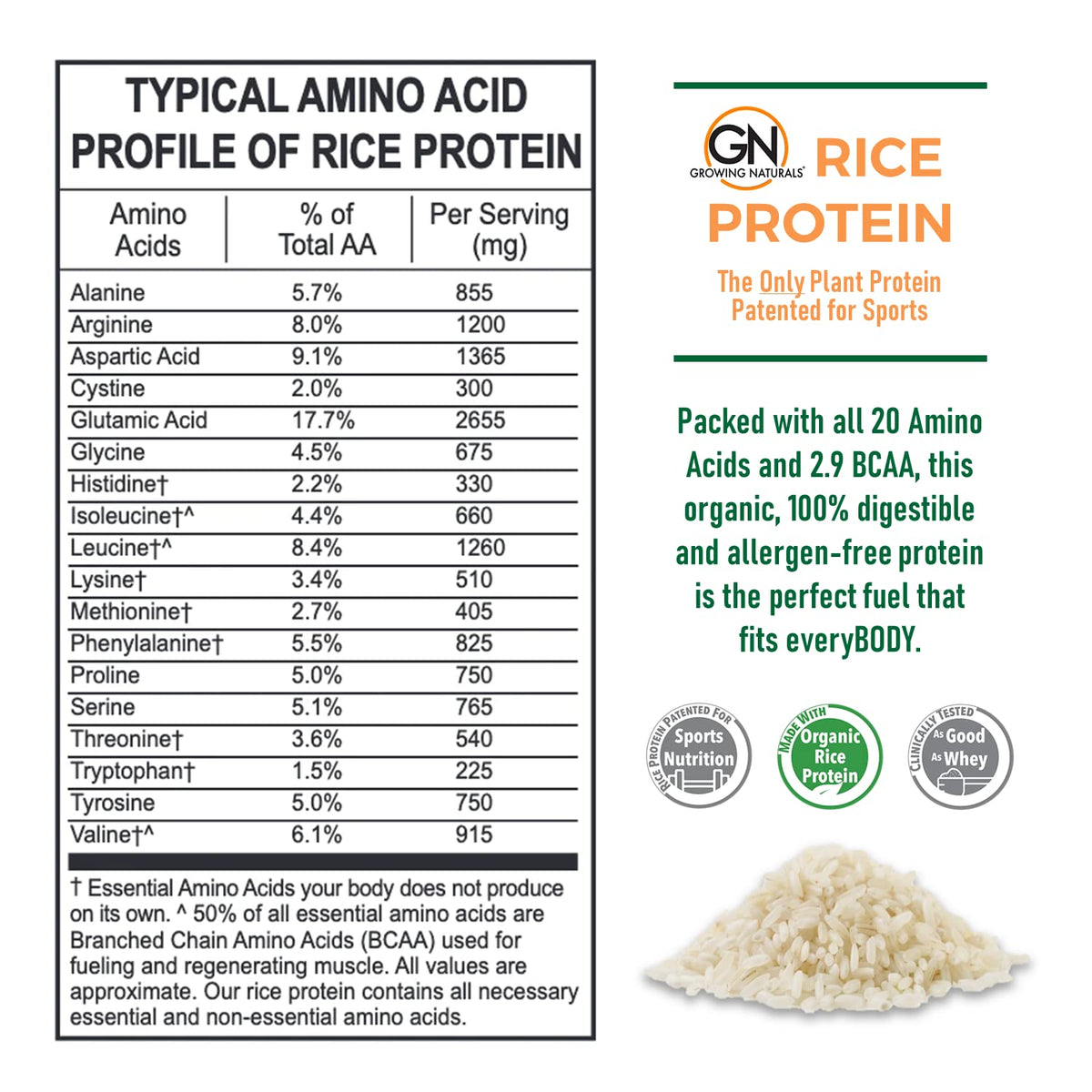 gluten free rice protein supplement