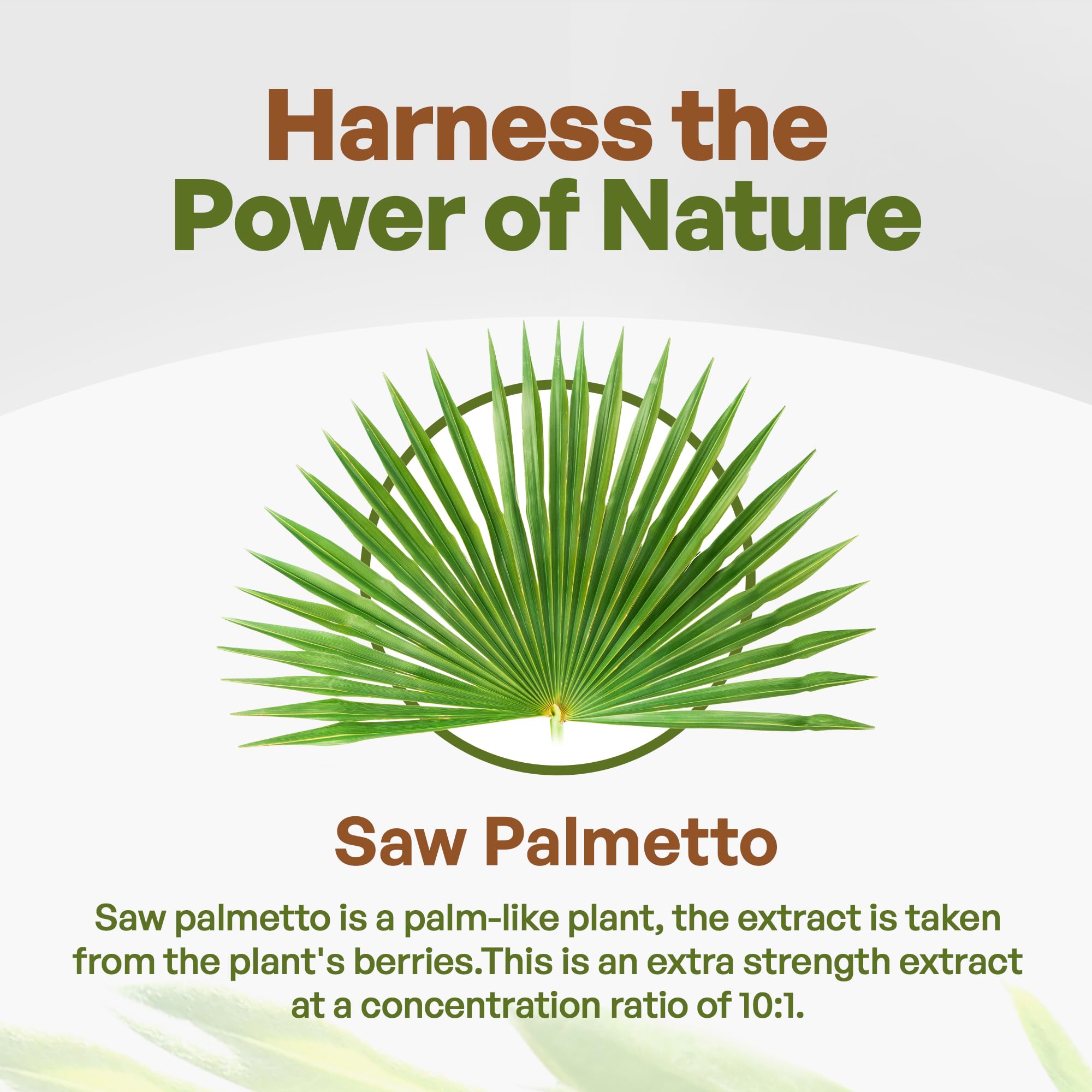 gluten free saw palmetto powder